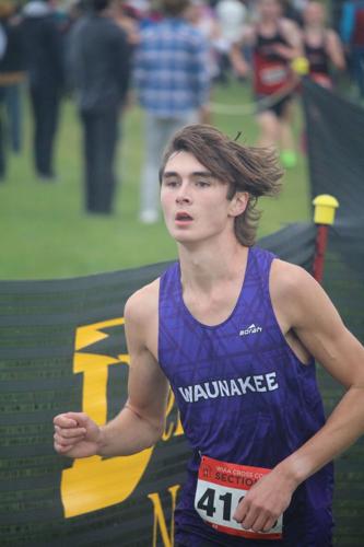Cross country: Berger runs to second at sectionals, joins Wipperfurth ...