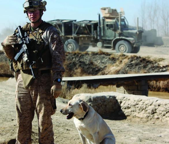 Reunited with Marine’s best friend | Community | hngnews.com