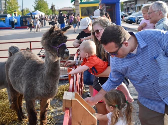 Summer Nights at Prairie Lakes Photos | Videos & Photo Galleries ...