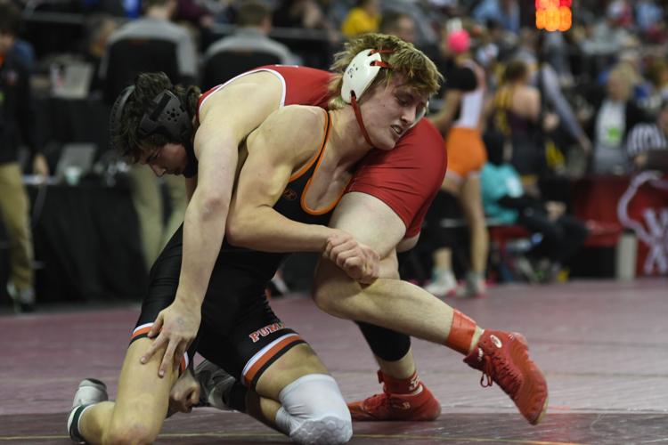 Wrestling: Meister takes fifth at state | Sports | hngnews.com