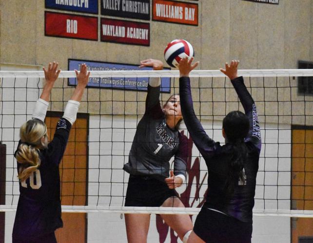Deerfield volleyball: Nelson, Loerke, Schears and Fisher named all ...