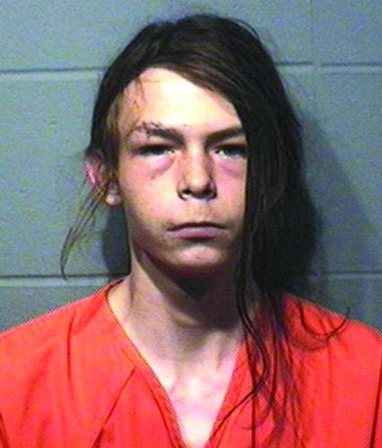 Photos help catch burglary suspects | Local | hngnews.com