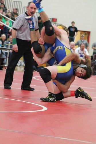 Wrestling Sectionals at Necedah | Local | hngnews.com