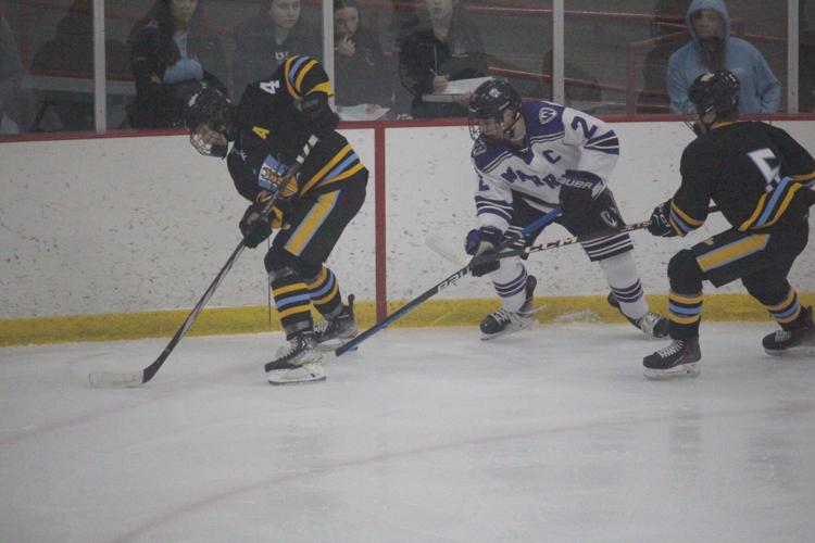Boys hockey: Warriors rout South Central | Sports | hngnews.com