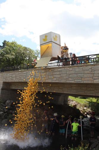 Susie the Duck Day 2024 Duck Derby | Local | hngnews.com