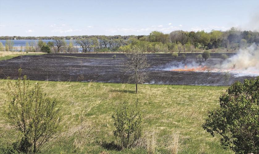 Controlled burn restores life at Korth Park | Share | hngnews.com