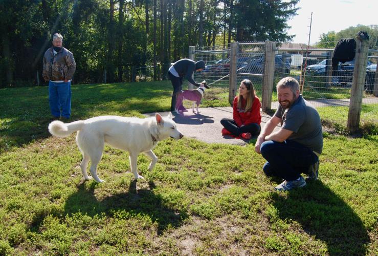 A day at the dog park | Milton Courier | hngnews.com