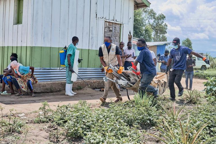 What to know about the Bundibugyo virus, a species of Ebola causing an ...