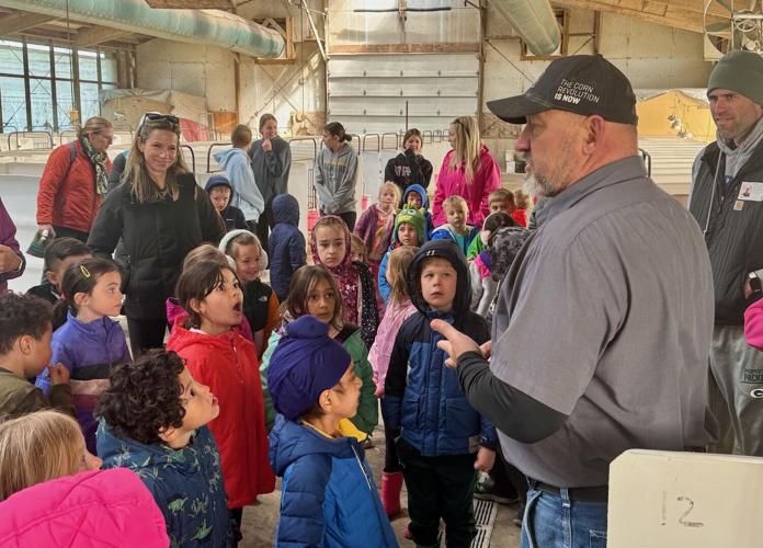 Waunakee kindergarteners visit Ripp's Dairy Valley Farm | School ...