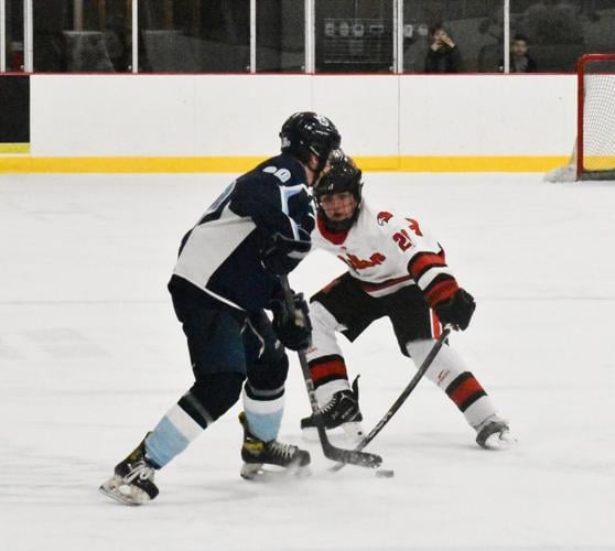 Boys' High School Hockey: Monona Grove drops MIlton | Hockey | hngnews.com