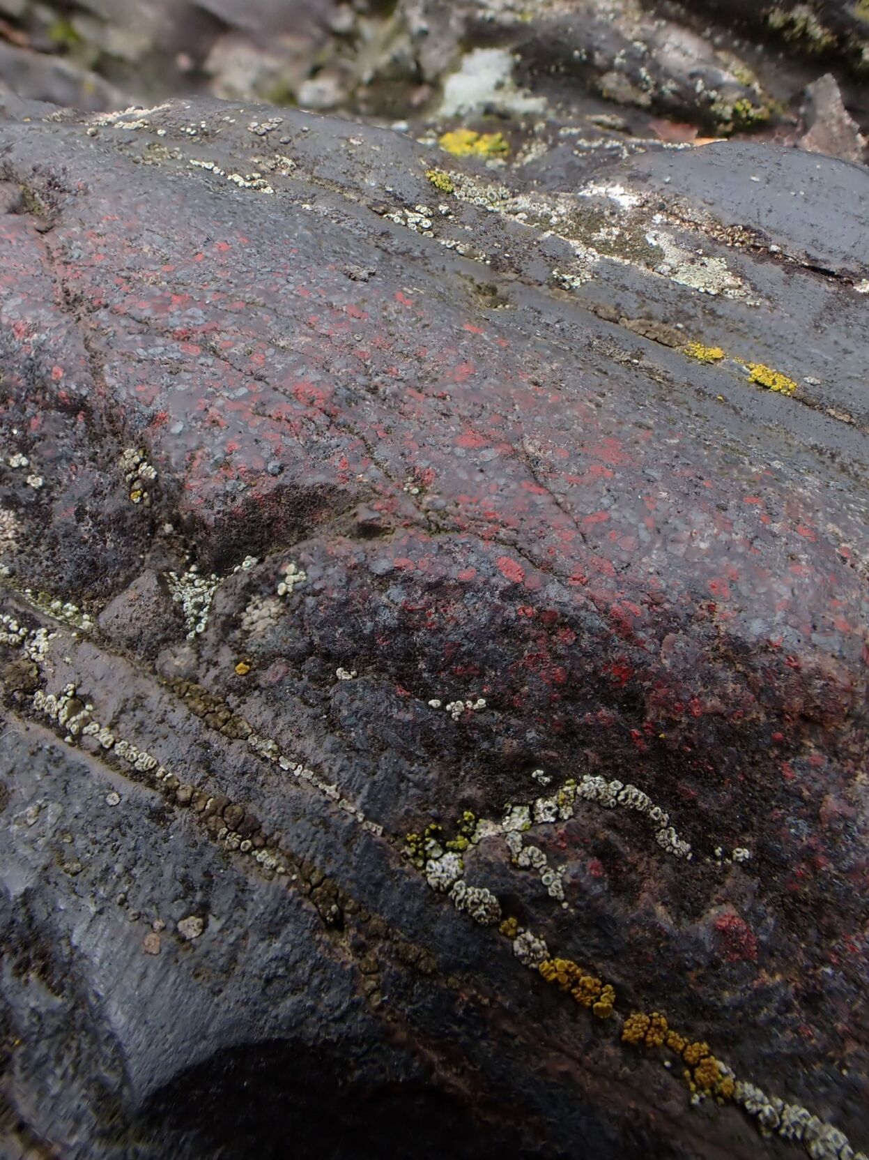 Natural Connections: Banded iron formation | Columns | hngnews.com