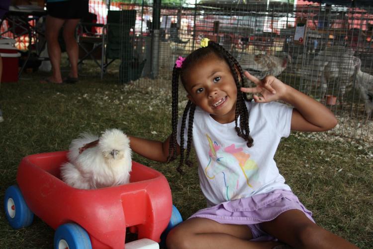 Lodi Agricultural Festival 2023 | Local | hngnews.com