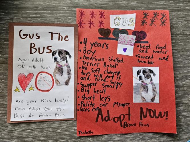 Doggone literacy: Project at Marshall School District helps spread ...