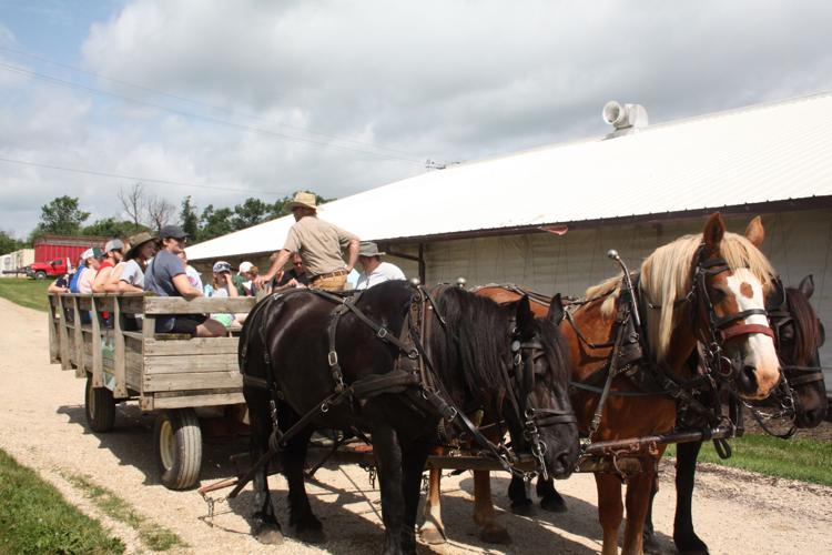 Lodi dairy farm opens doors for Columbia County Moo Day Brunch 2025 ...