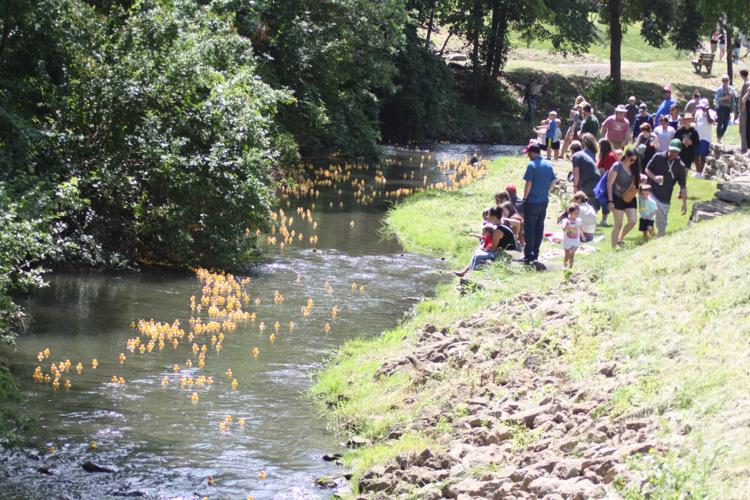 Susie the Duck Day 2024 Duck Derby | Local | hngnews.com