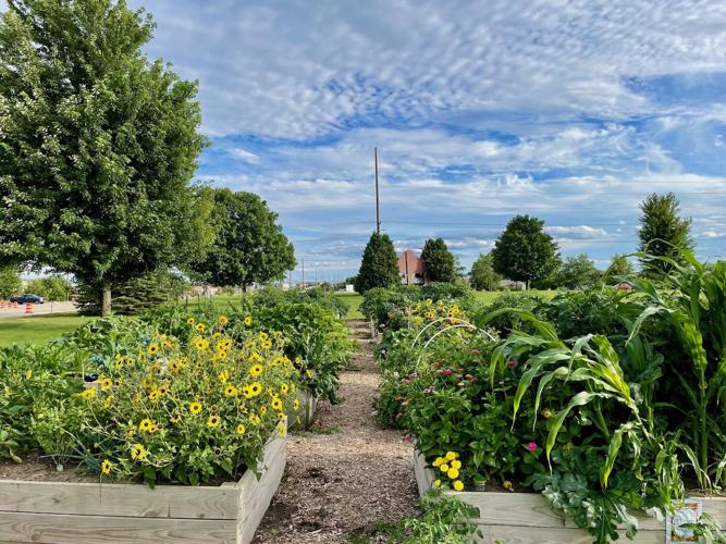 Good Shepherd Episcopal Church announces community garden registration ...