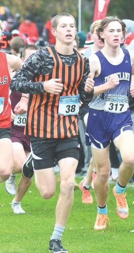 Pumas cross country returns core group of runners | Sports | hngnews.com