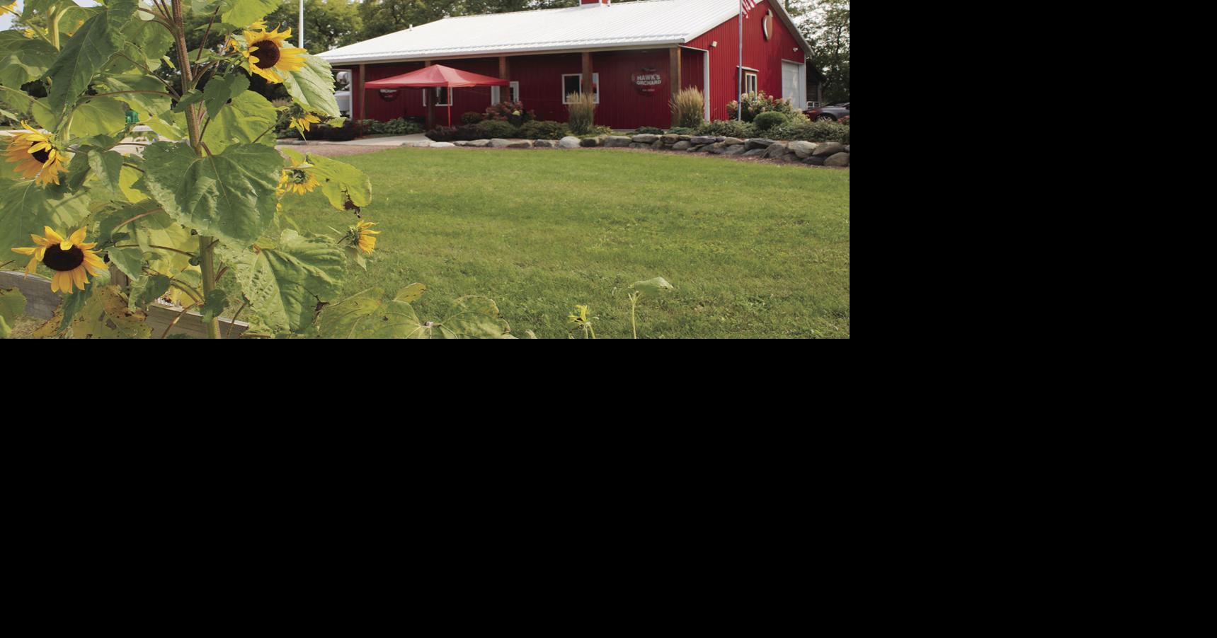 Hawk's Orchard opens for the season | Local | hngnews.com