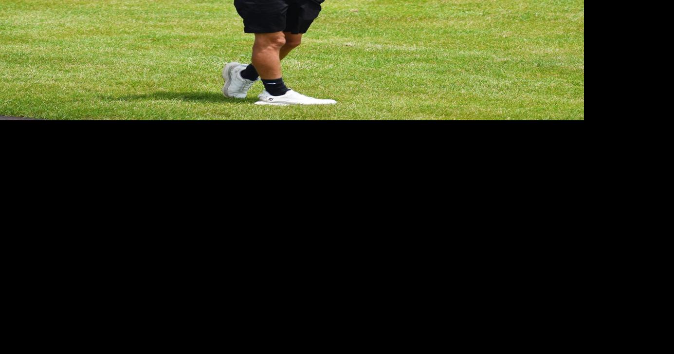 Boys golf: Lodi players receive GGAW Academic All-State honors | Sports ...