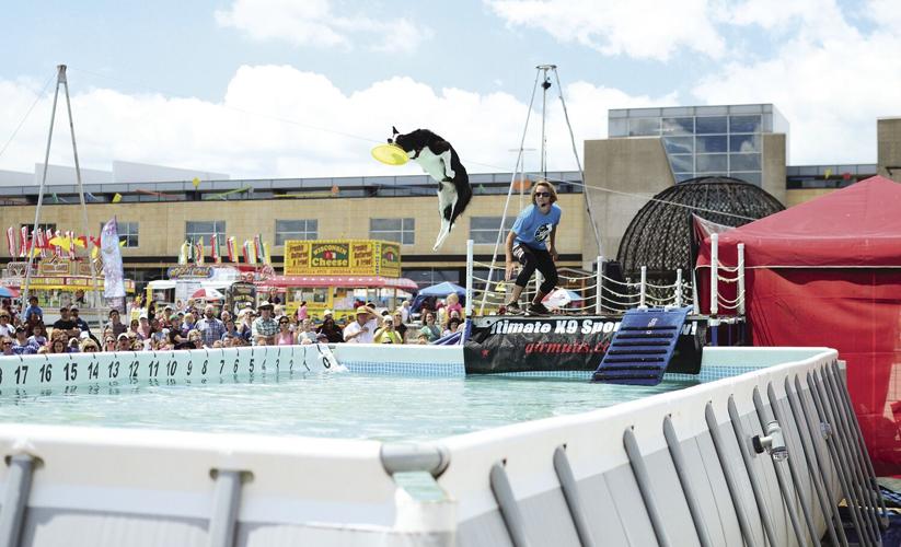 Dane County Fair returns July 21-24 with new events, entertainment ...