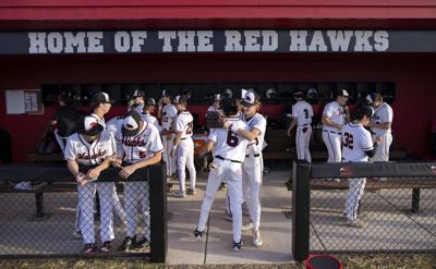 Red Hawk Baseball: 20-win season marks Milton success | Baseball ...