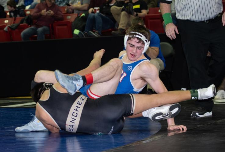Wrestling: Lodi wrestlers make their mark at state | Sports | hngnews.com