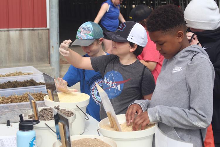 Food for America at the Farm | Local News | hngnews.com