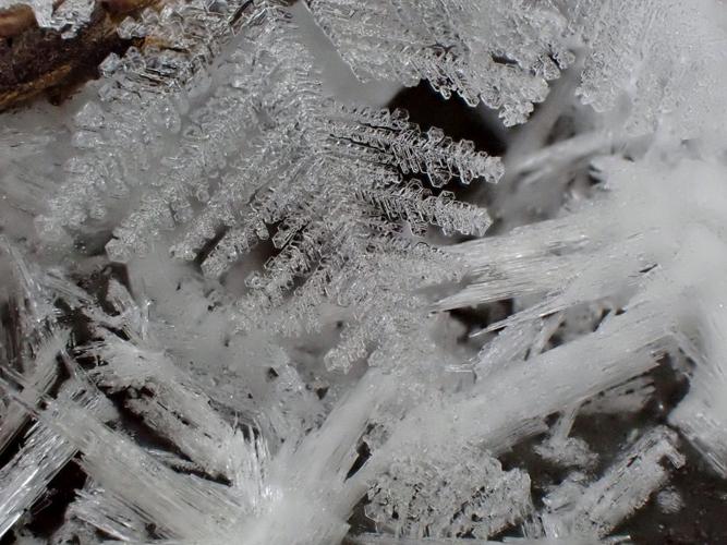 Rime ice and hoarfrost make the hidden visible | Lake Mills Leader ...