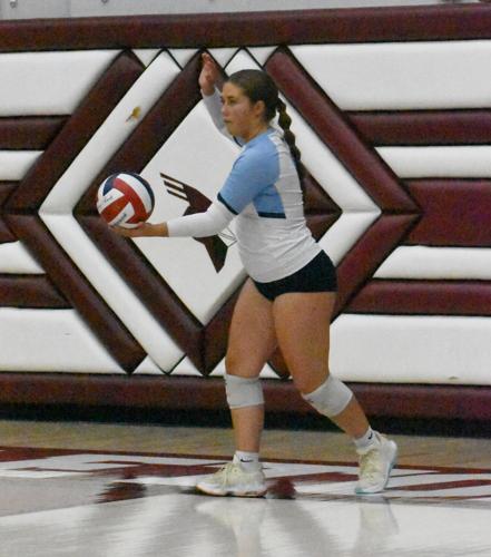 Sun Prairie West volleyball covers all-conference list | The Star: Sun ...