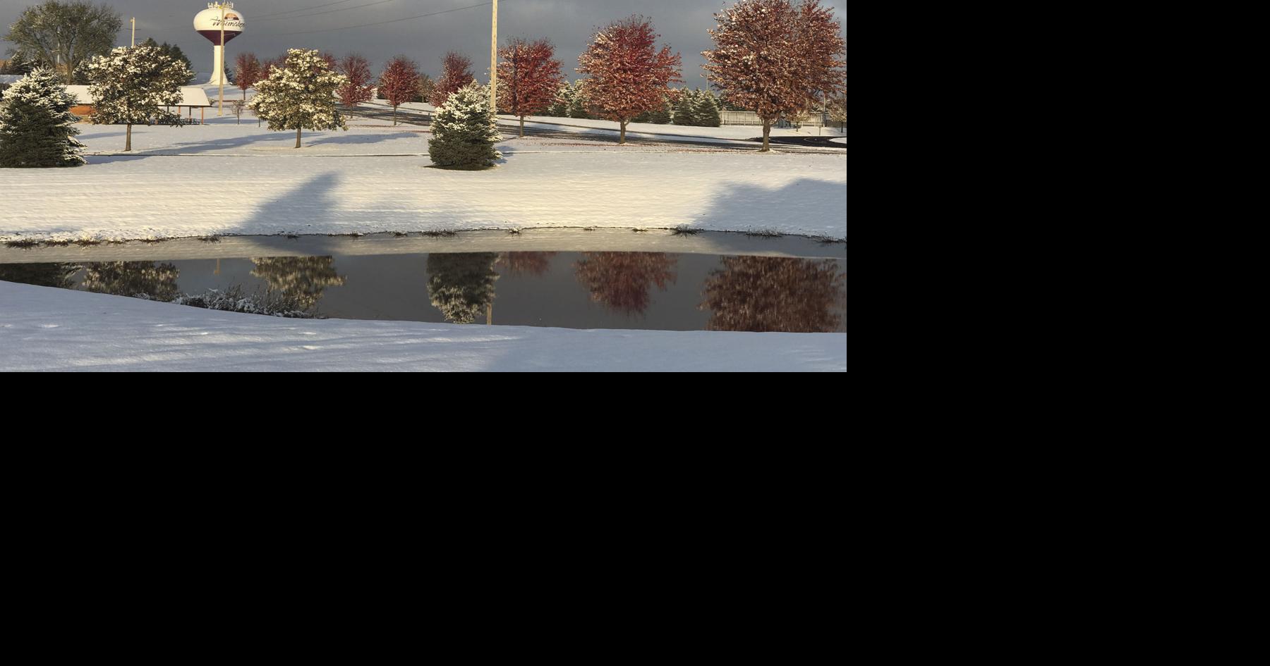 ATC grant helps Waunakee parks staff replace lost trees | Business ...