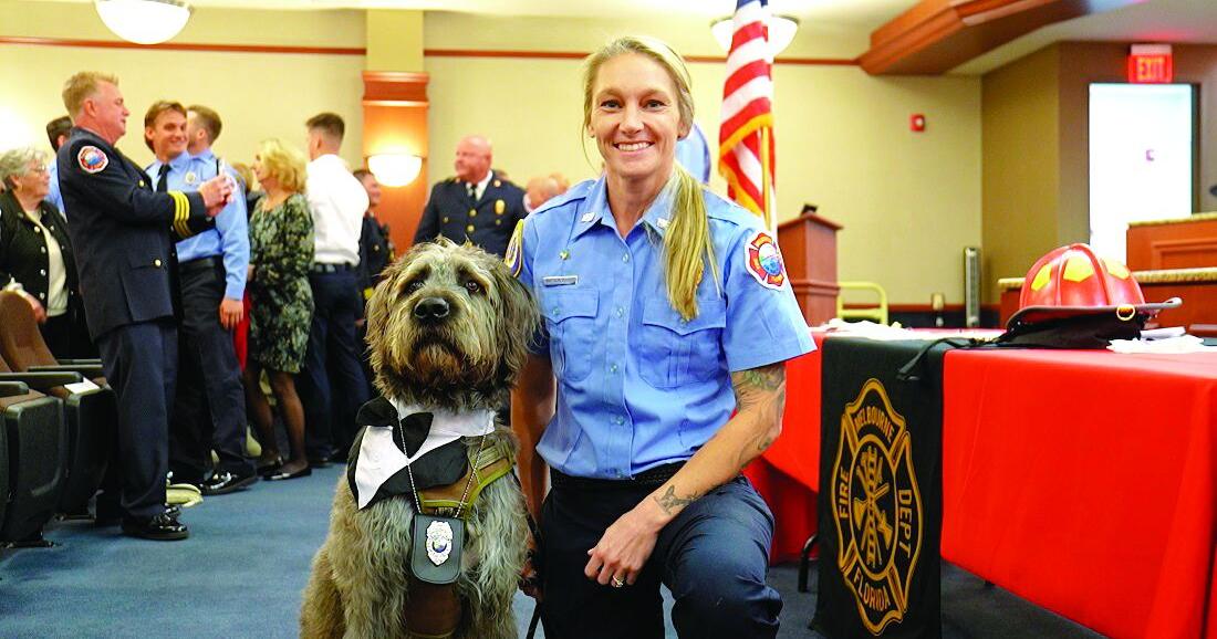 Meet Rigs, Melbourne Fire Department’s first therapy dog | Melbourne