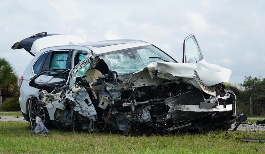 Wrong-way driver dead after crashing car into woods near Jonathan ...