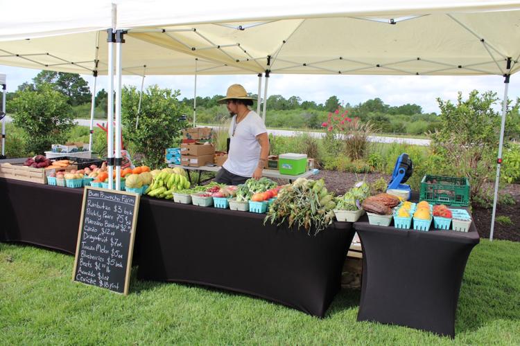 The Market at Newfield Farm showcases first event in Martin County ...