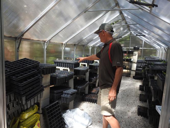 Free trees at Audubon House in Vero Beach | News | hometownnewstc.com