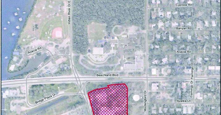 Vero P&Z Board backs legacy tree removal | Indian River County ...