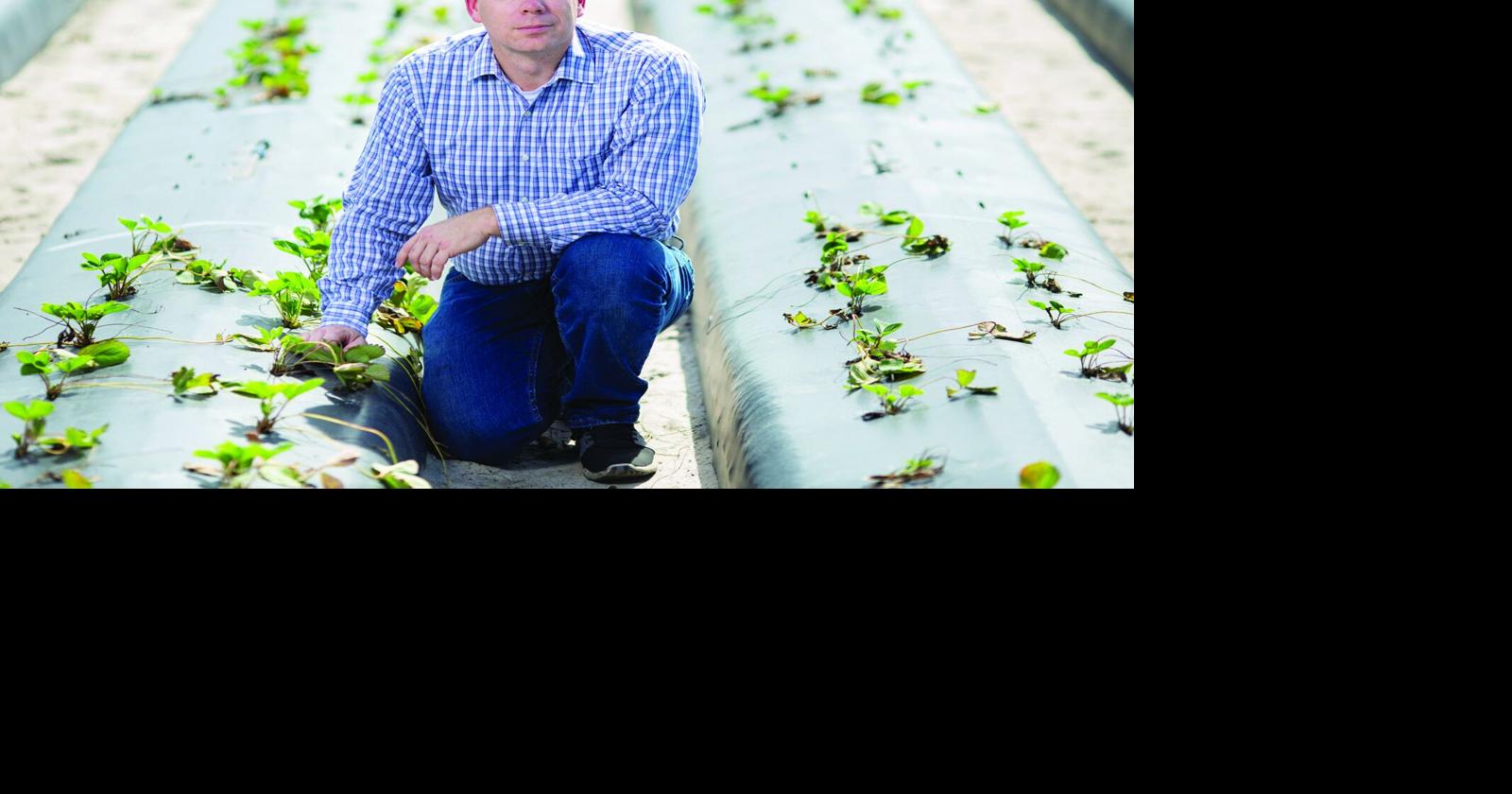Florida researchers plan to help growers feed more people | News ...