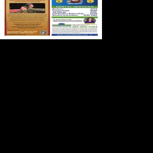 Page A_003 | e-Edition | hometownnewsvolusia.com