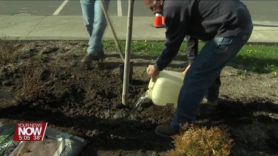 Arbor Day Foundation recognizes Lima as a "Tree City USA" | News ...
