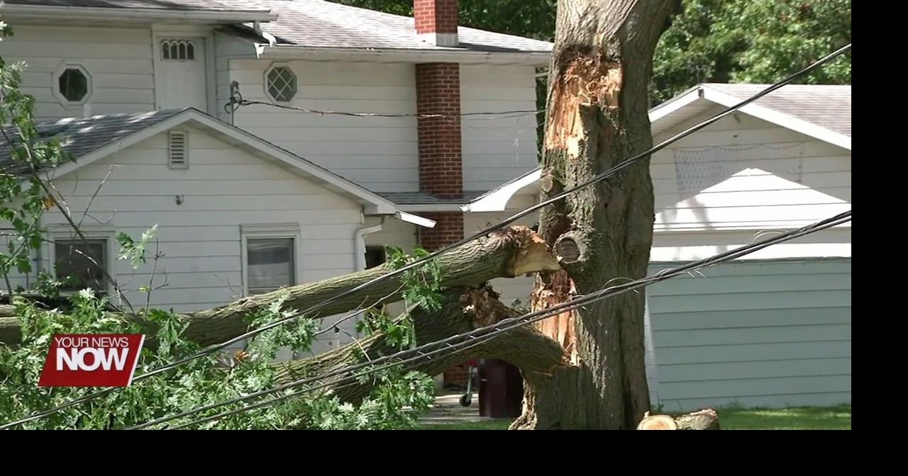 Portion of fallen tree causes power outage in Lima after knocking down ...