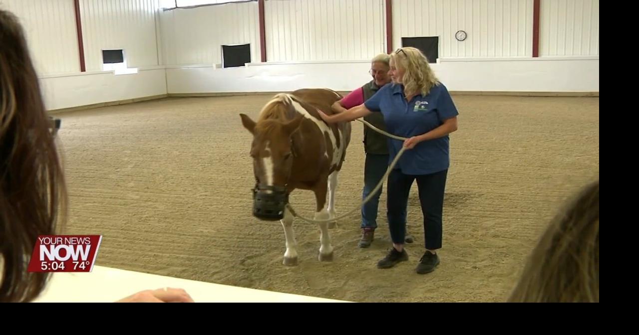 Allen Lima Leadership head to Fassett Farm where they work on team ...