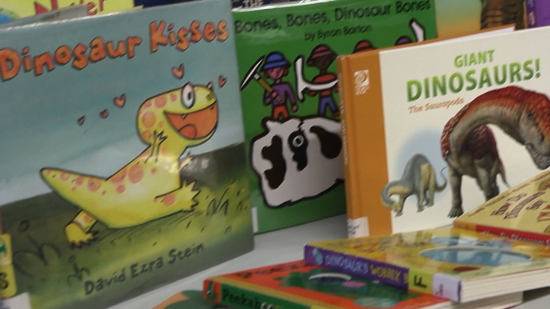 ‘Unearth a Story’ encourages young readers to explore books this Summer ...