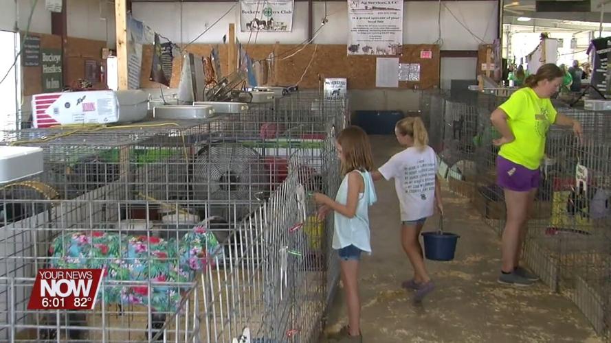 170th Auglaize County Fair full of 4H, fun and food | News ...