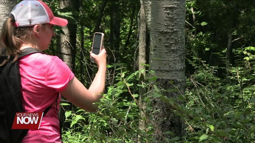 University of Findlay and Bluffton University partner in a volunteer effort to catalog local ...