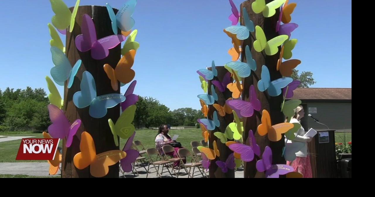 Allen County Board of Developmental Disabilities' second annual ...