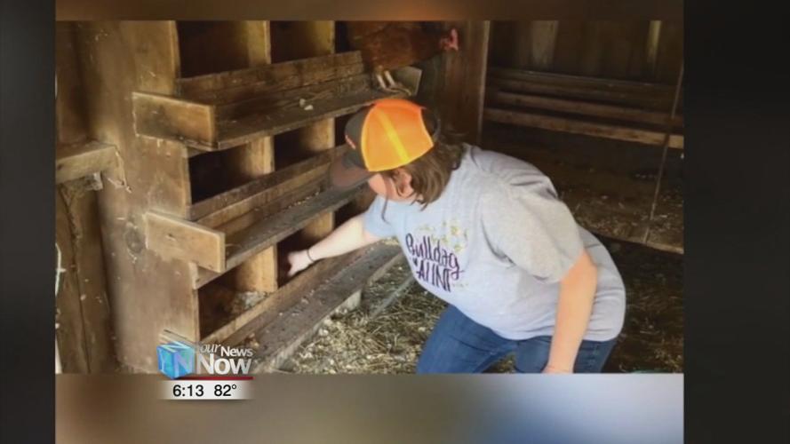 Ada Public Library bringing fun to virtual storytime | News ...