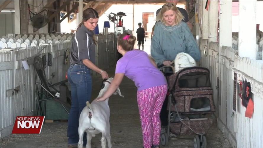 Van Wert Fair wraps up for another year | News | hometownstations.com