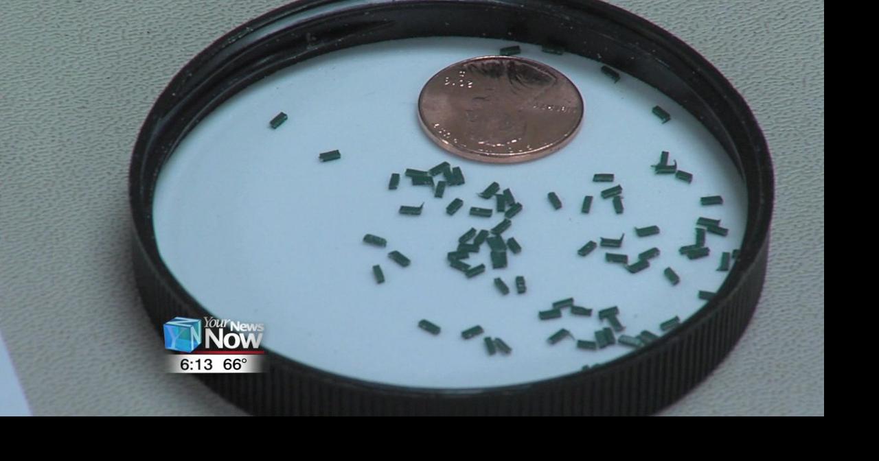 Spraying for Gypsy Moths to begin this week | News | hometownstations.com