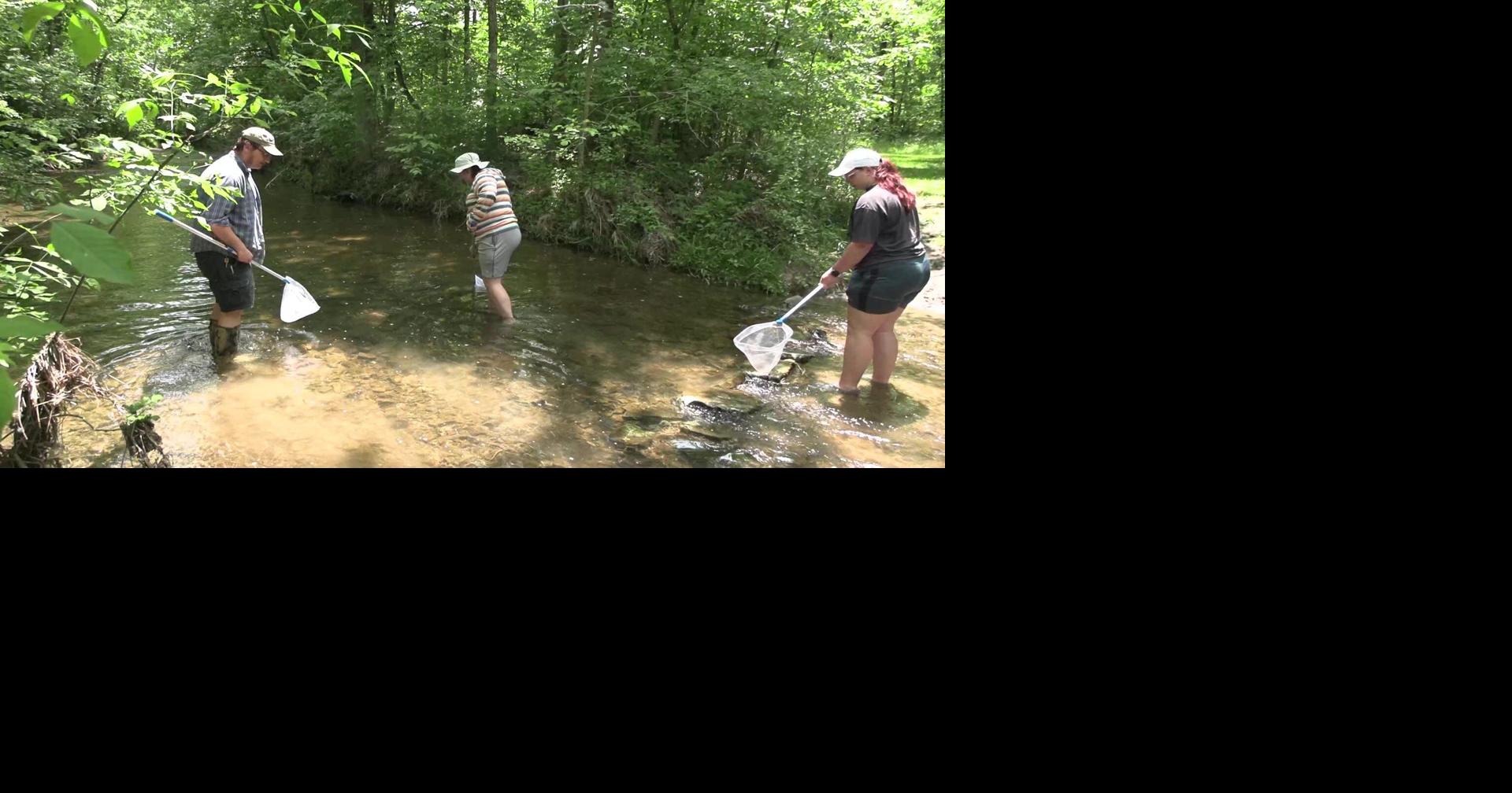 Hancock Park District offers unique stream exploration experience | Hancock County ...
