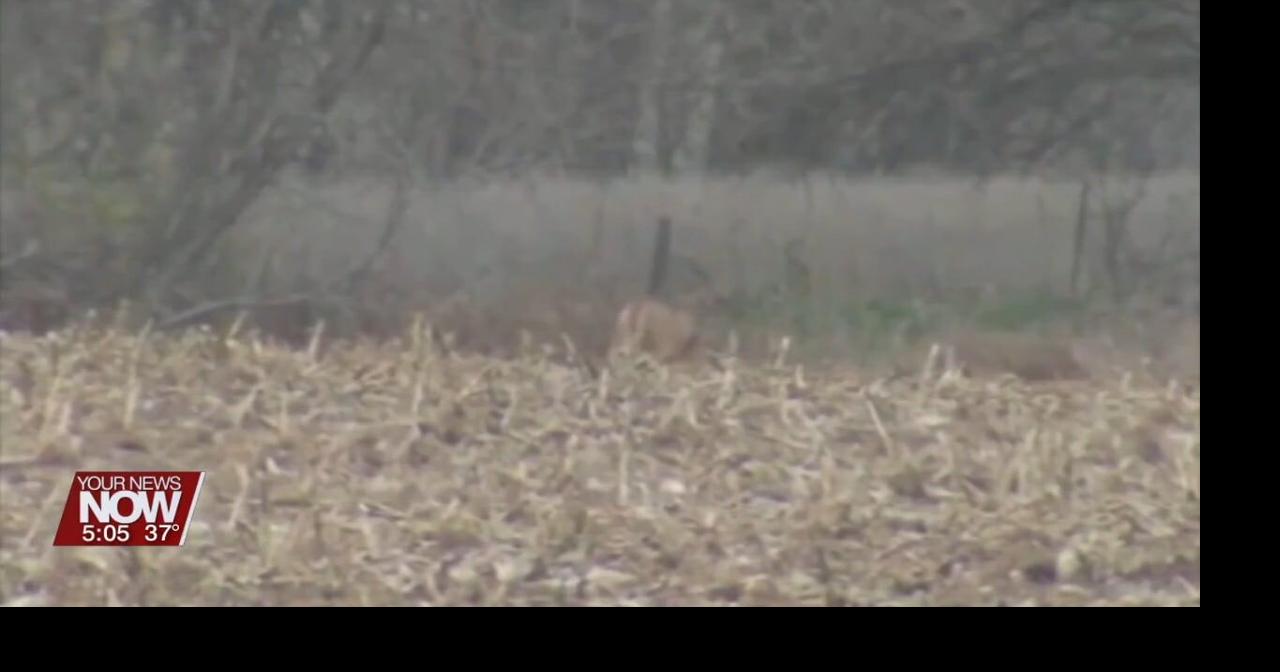 Ohio hunters got 70,118 deer during week long gun season | News ...