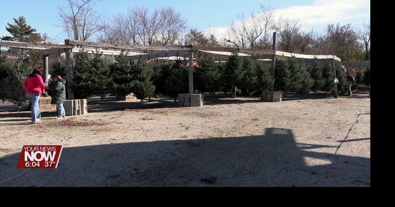 Shoppers visit Blooms by Spieles Nurseries to purchase live Christmas ...